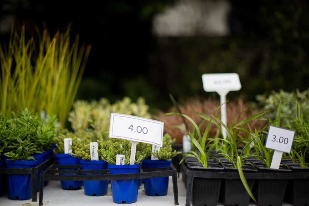 Horticulture Open Day and Plant Sale - Otago Polytechnic